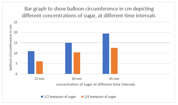 Inflate a Balloon with Yeast Fermentation Experiment: Lab Explained ...